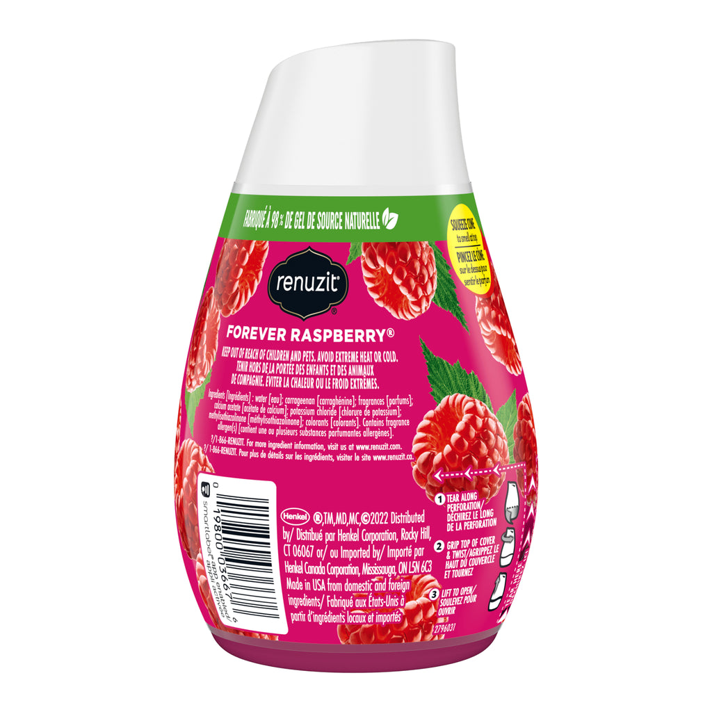 Renuzit Gel Air Freshener Forever Raspberry Scent, 7oz – MarketCOL