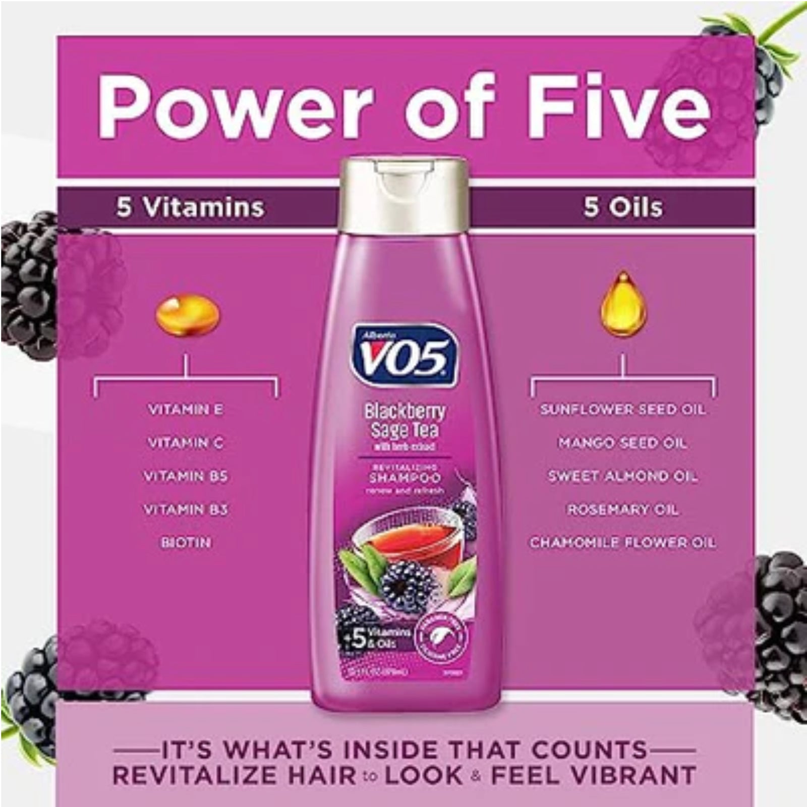 Alberto VO5 Blackberry Sage Tea w/ Herb Shampoo, 12.5 oz. (370ml ...